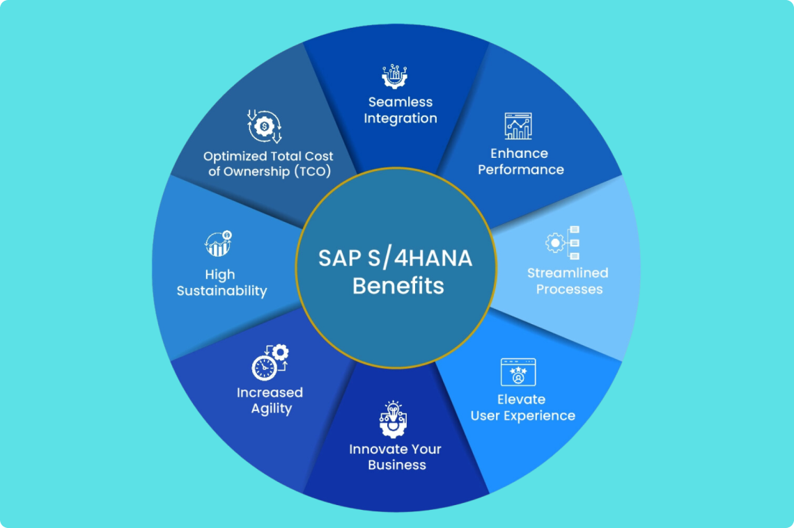 Where can SAP S/4HANA best support digital transformation in the ...