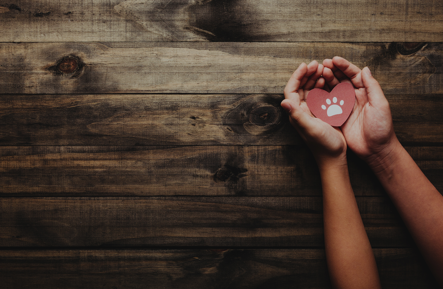 Inspiring Change Through Charity